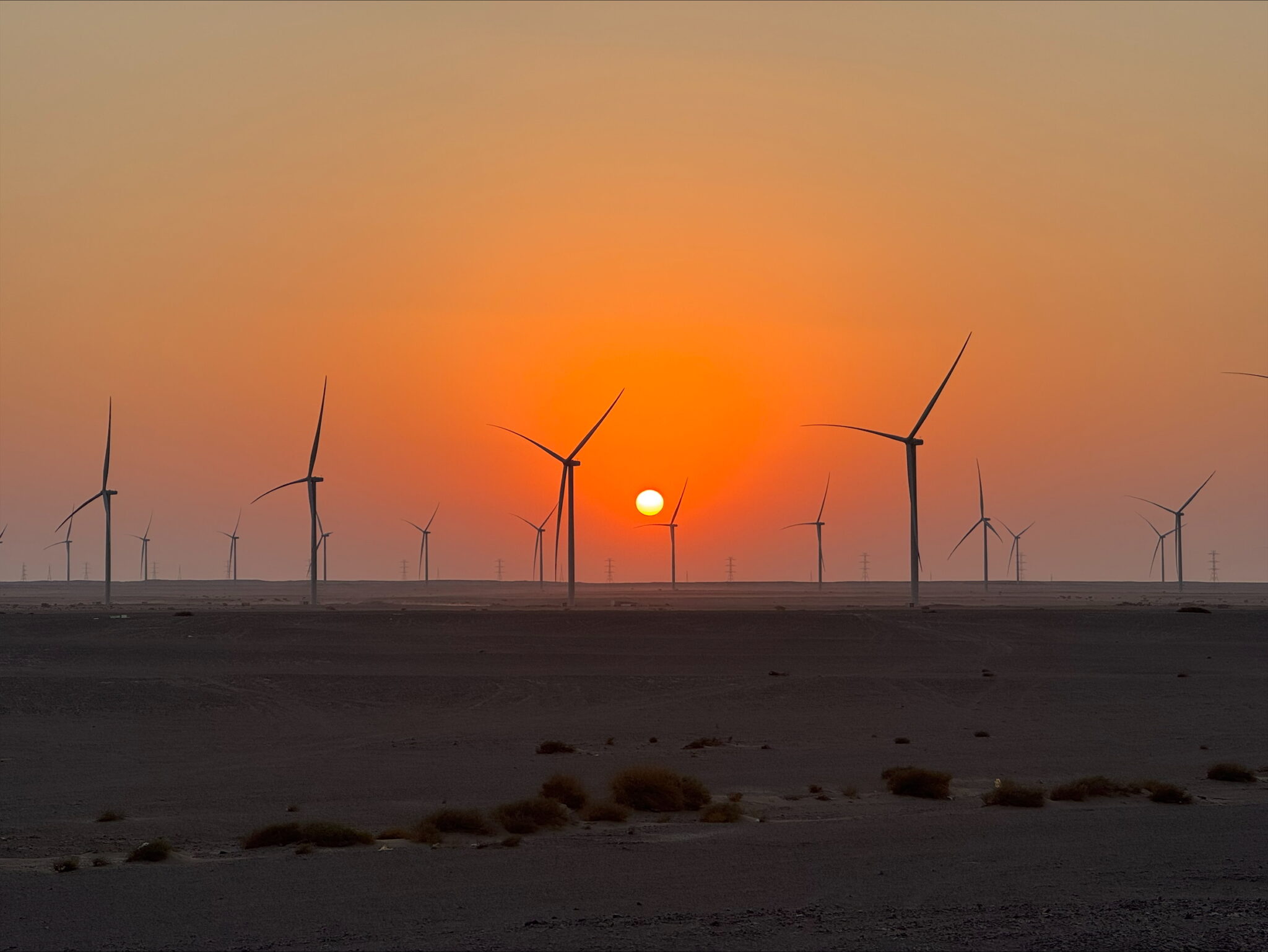 Protecting Groundwater-Dependent Ecosystems in Trojena – KAUST Beacon ...