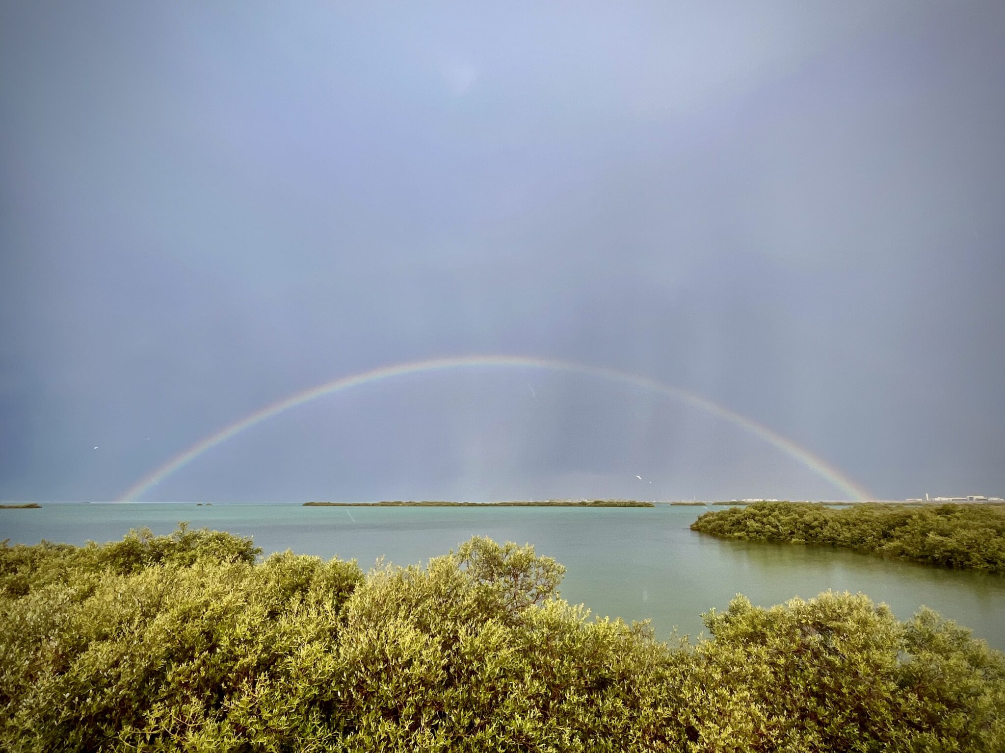 KBD joins Heart of Arabia expedition – KAUST Beacon Development