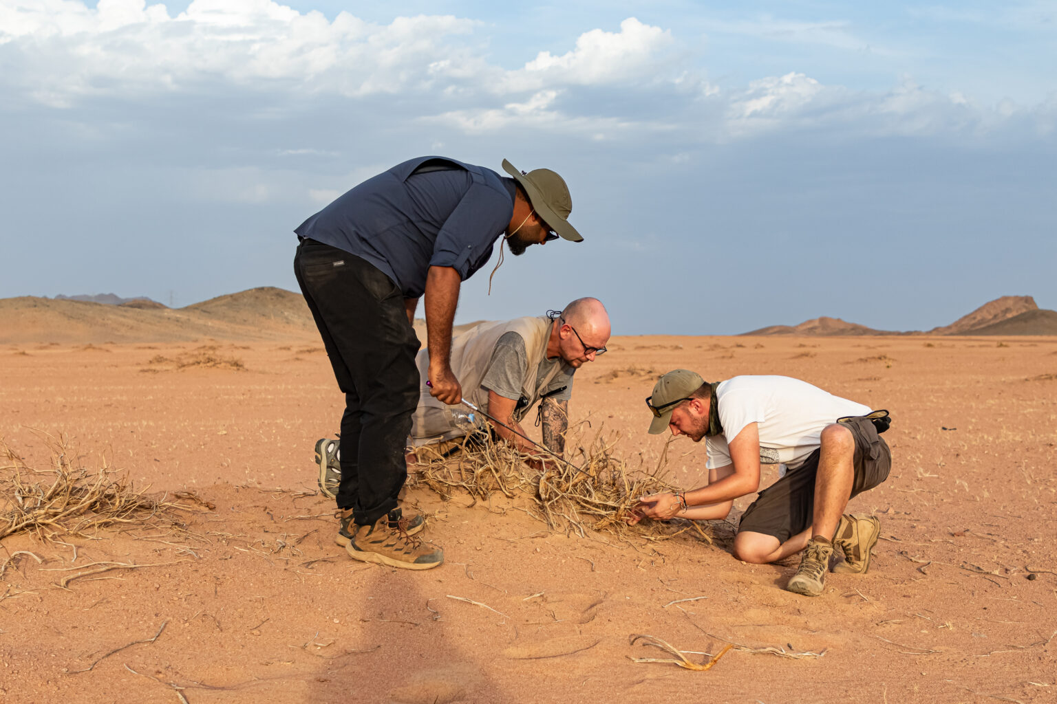 Wildlife Handling & Ranger Capacity Building – KAUST Beacon Development