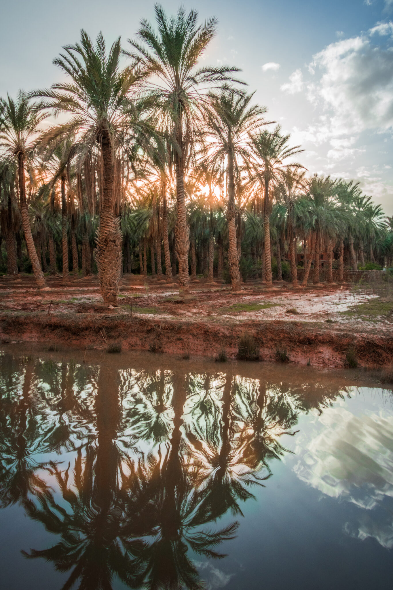 Protecting Groundwater-Dependent Ecosystems in Trojena – KAUST Beacon ...