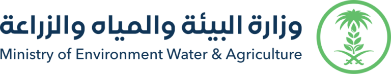 KAUST Beacon Development – Driving Success through Strategy