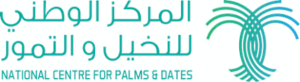 KAUST Beacon Development – Driving Success through Strategy